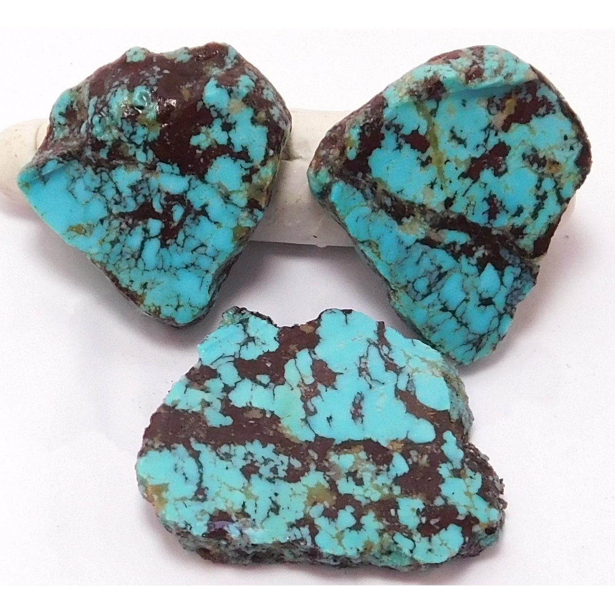 New Redskin Turquoise Slabs and Ammonite Specimens now online!!
