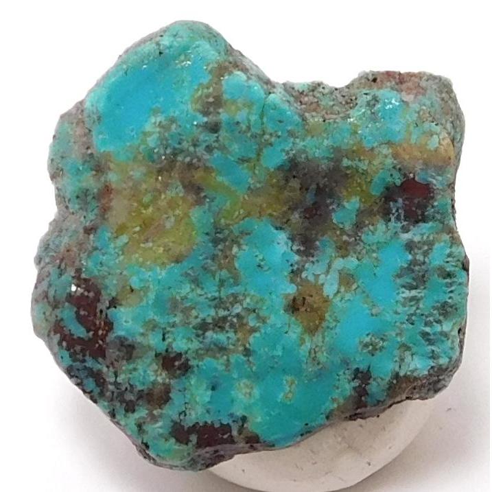 New Redskin Turquoise Slabs and Ammonite Specimens now online!!